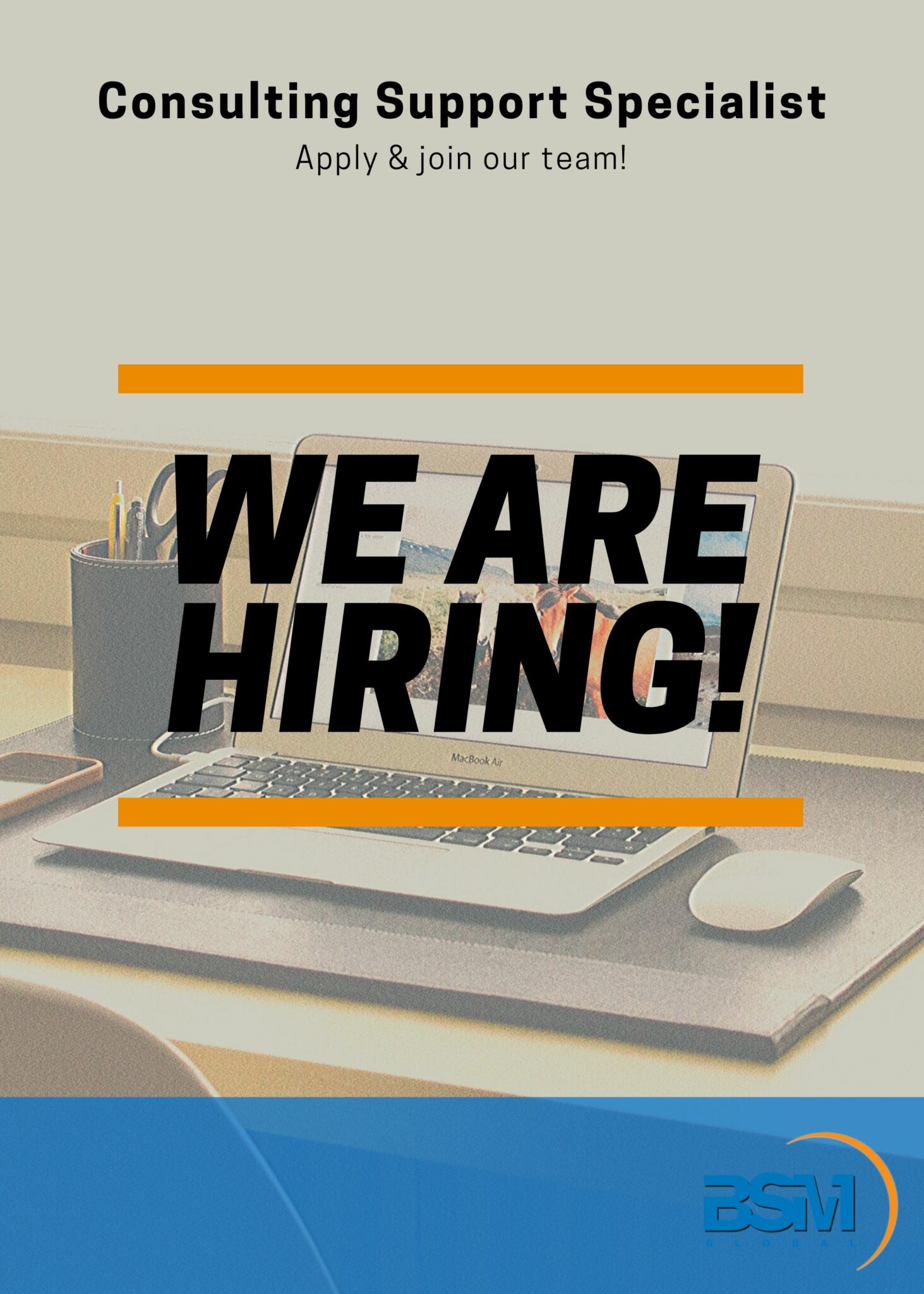 Consulting Support Specialist - Sydney - BSM Global